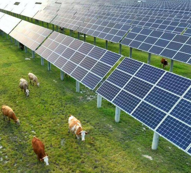 Solar | Mokun Renewable